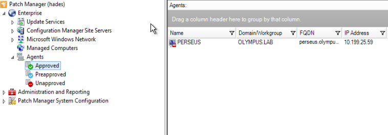 Schannel errors several times a minute on Patch Manager managed clients
