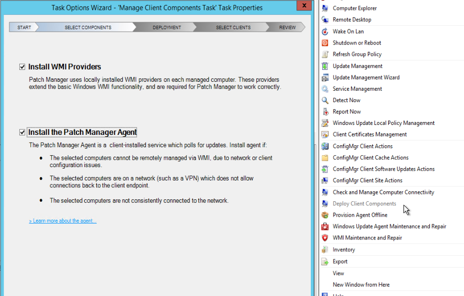 Schannel errors several times a minute on Patch Manager managed clients