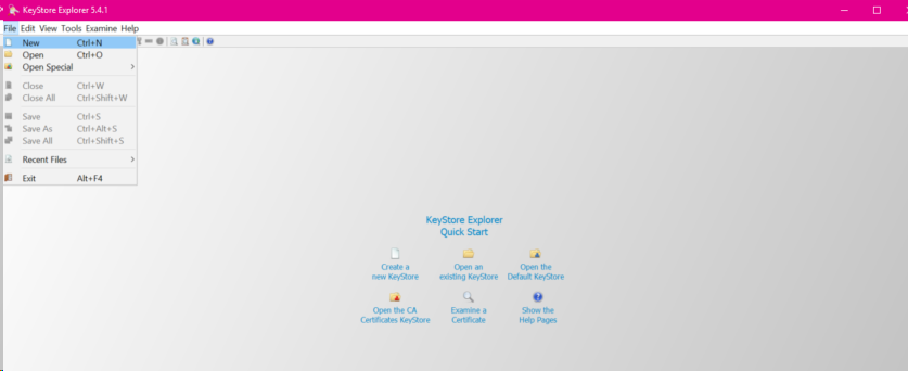How to generate new keypair and import CA reply using Keystore Explorer ...