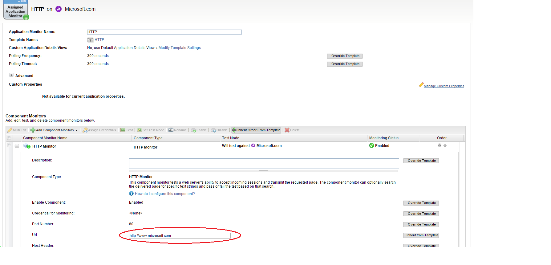 Monitor an external website in SAM